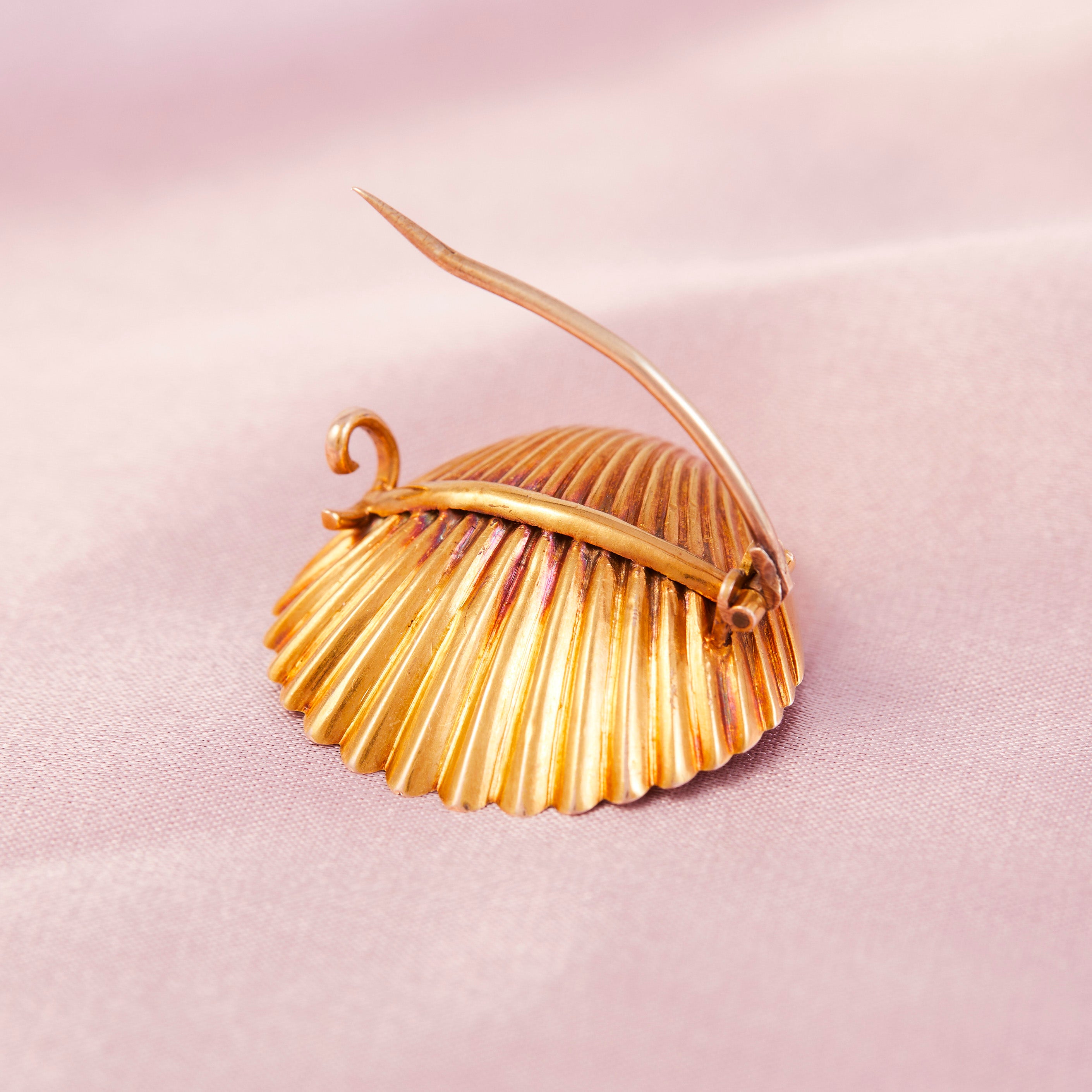 Antique Gold & Natural Pearl Cockle Shell Brooch – frenchjewelbox